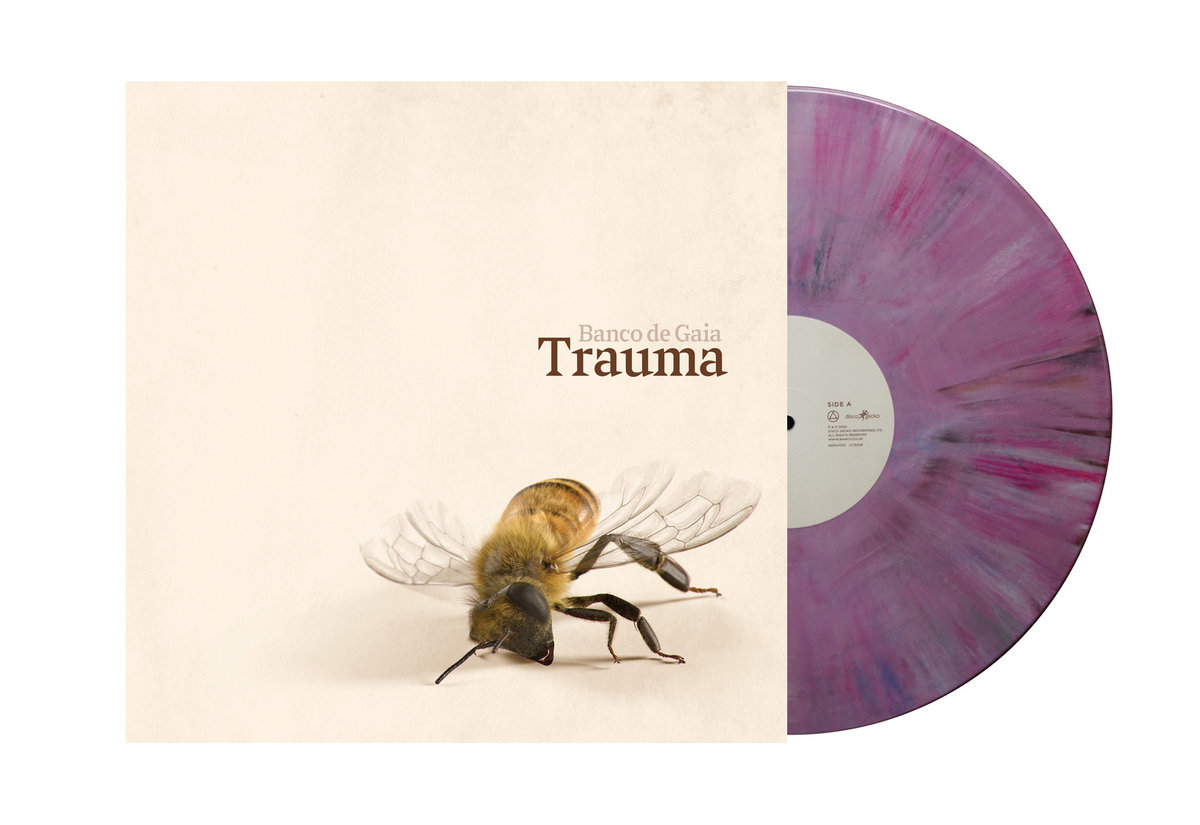 Trauma (Coloured) (Signed)